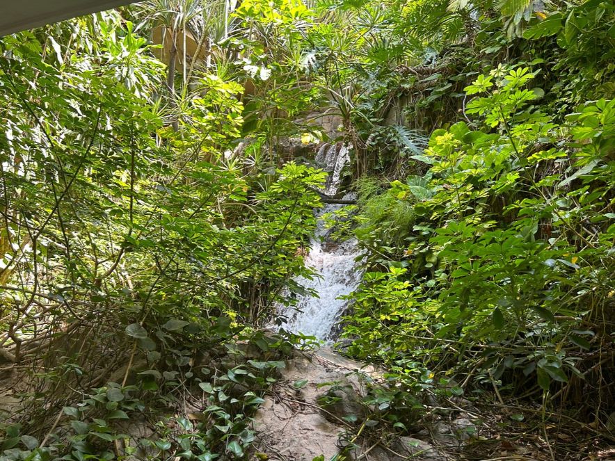 🌍 June 5th: Celebrating World Environment Day - Adrian Hoteles